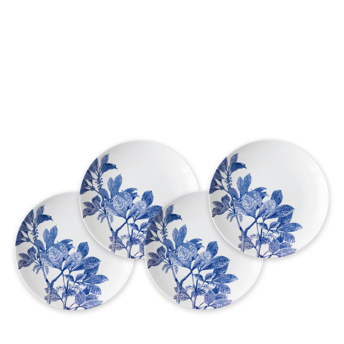Arbor Small Plates, Set of 4 — Culinary Cave