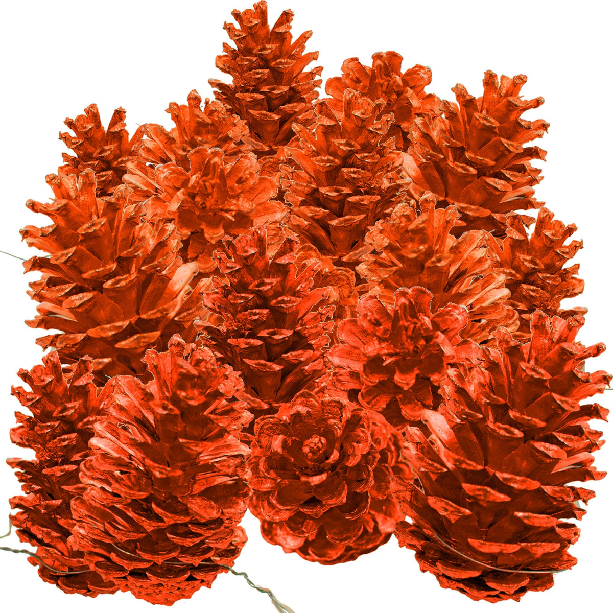 Orange Pine Cones — Culinary Cave