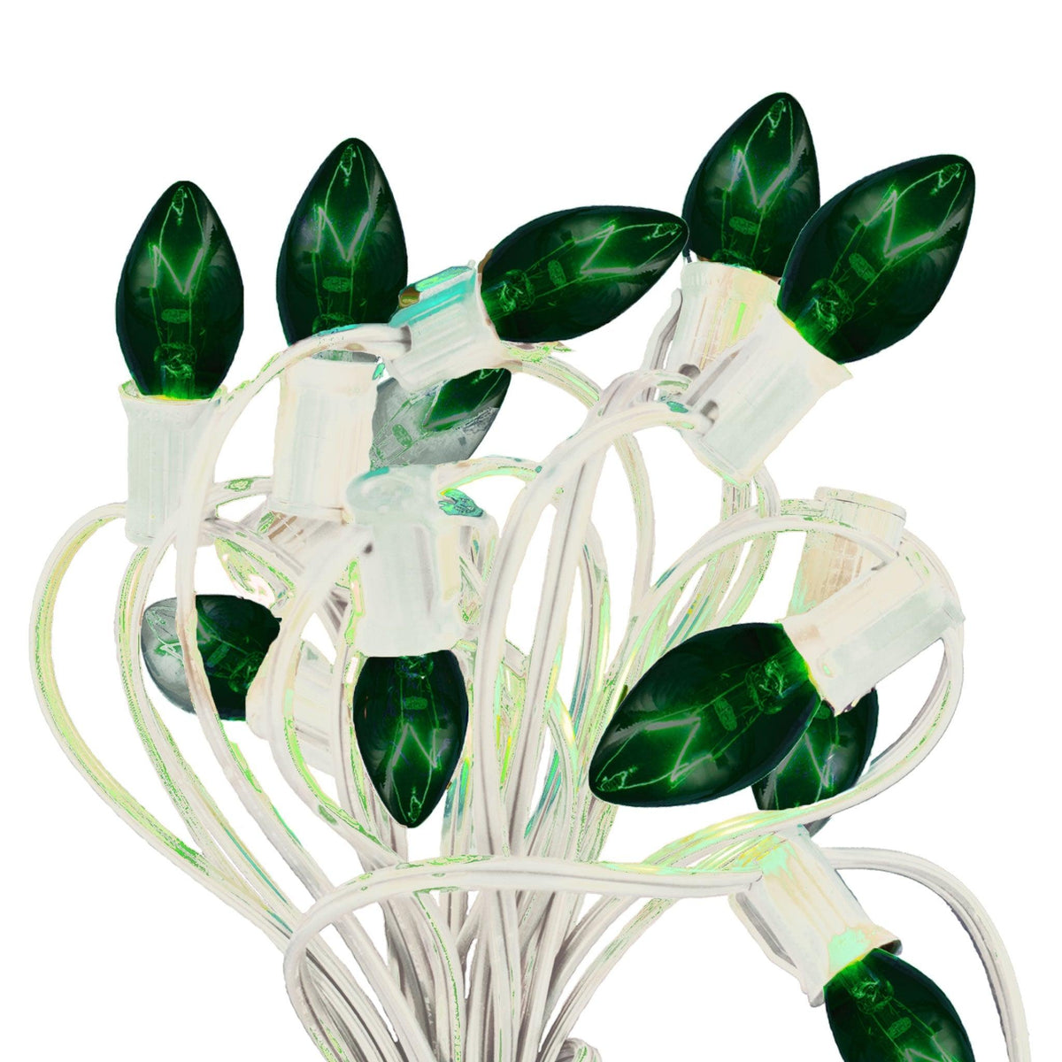 Green Outdoor String Lights — Culinary Cave